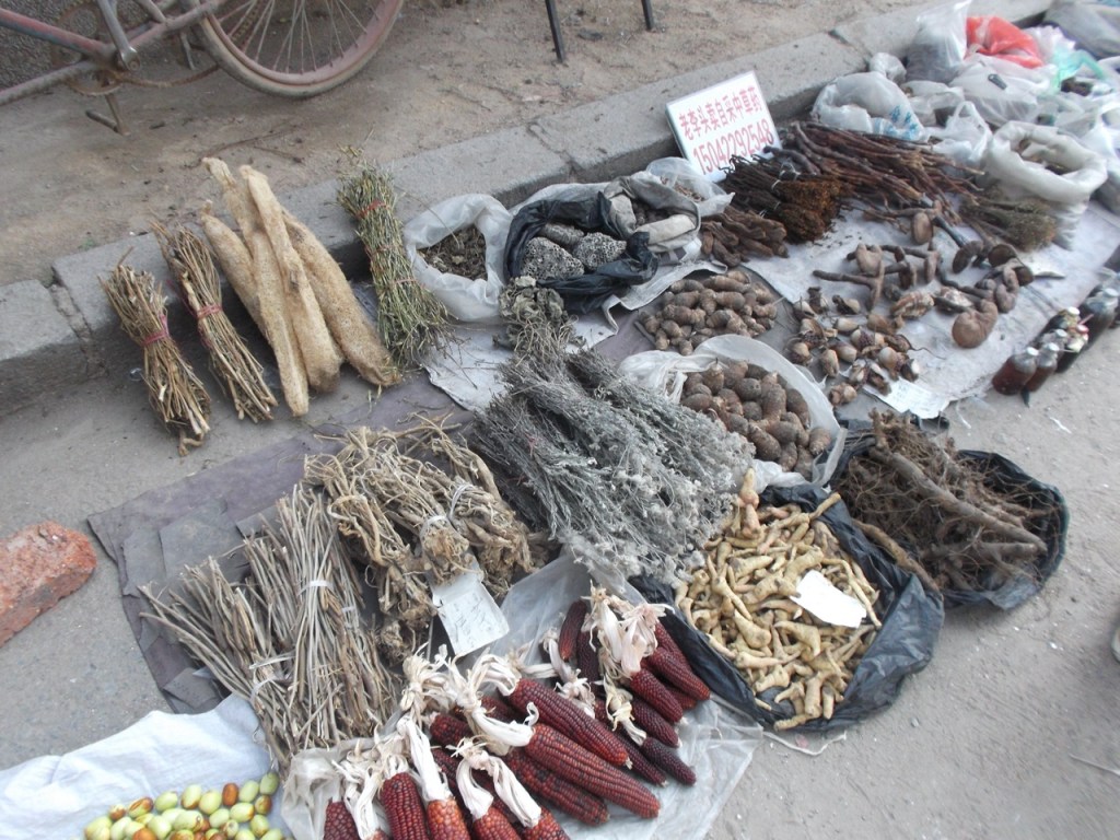 Street-side traditional Chinese medicinal herbs